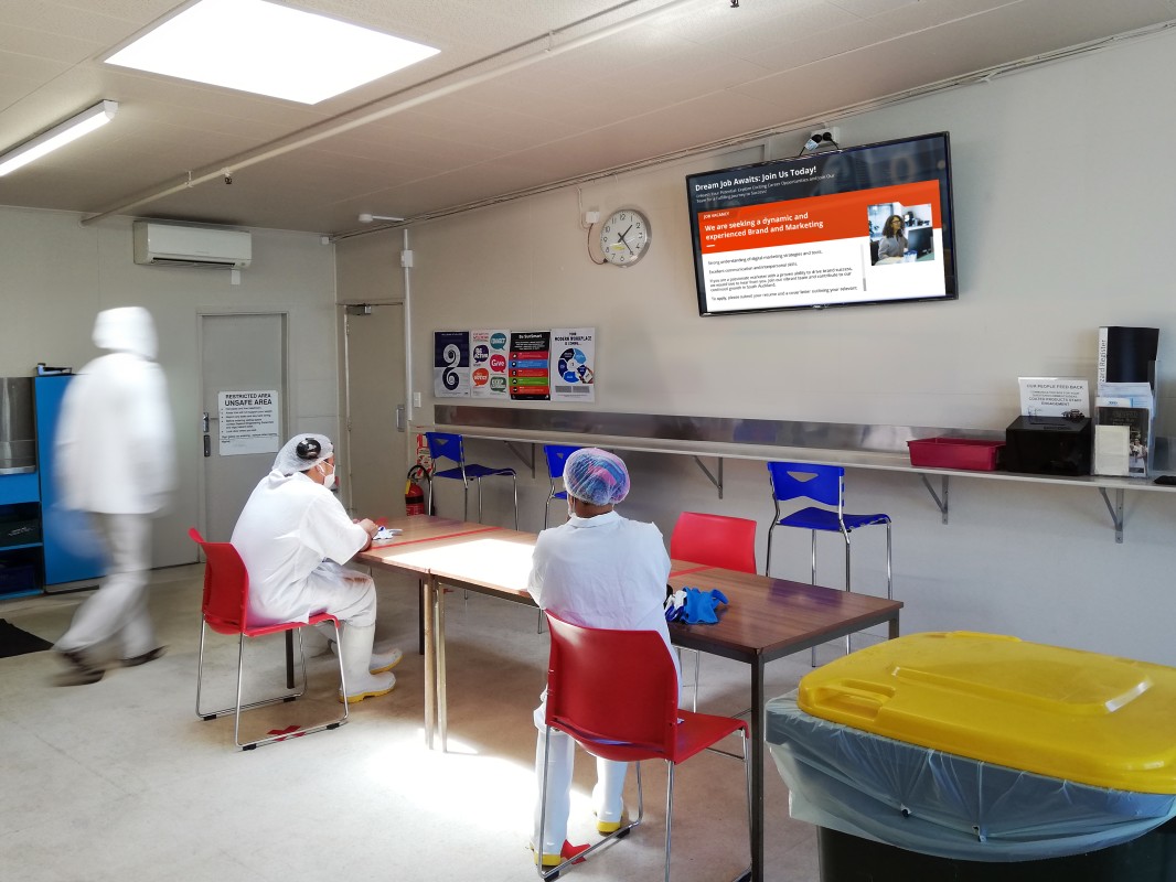 Workplace Digital Signage | Vibe.fyi